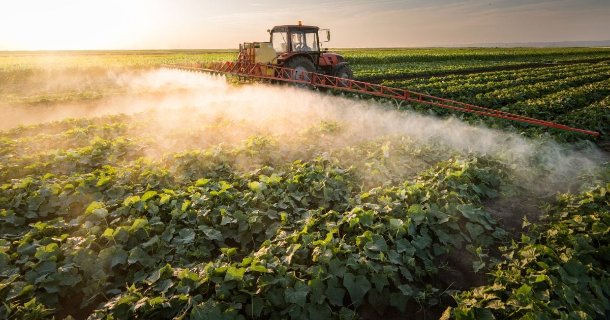 What is the EU POPs Regulation?